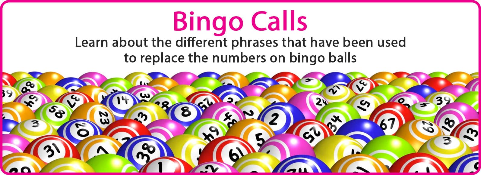 Rude Bingo Calls Barbados Bingo